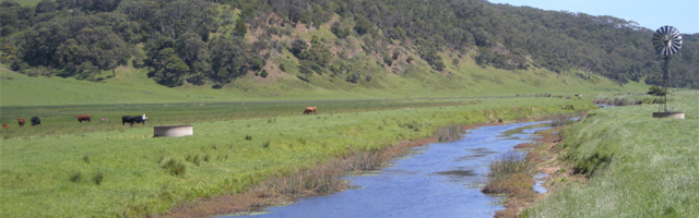 Gellibrand River - Environment Victoria