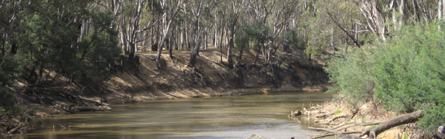 Environment Victoria | What does the draft Basin Plan mean for the ...