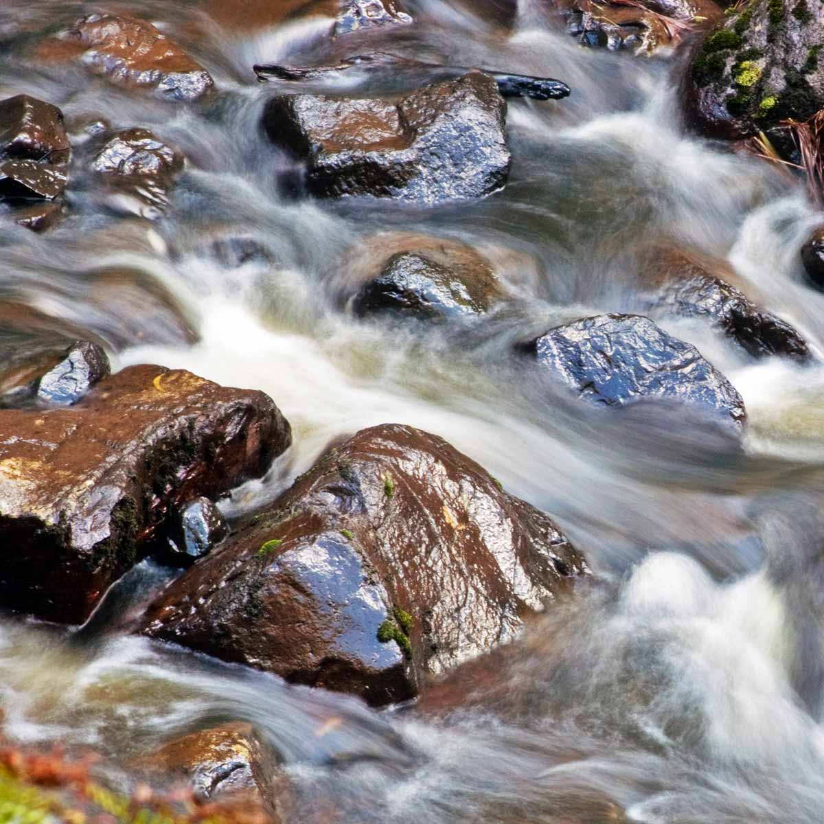 The Aquaprint : A community vision for water reform in Victoria