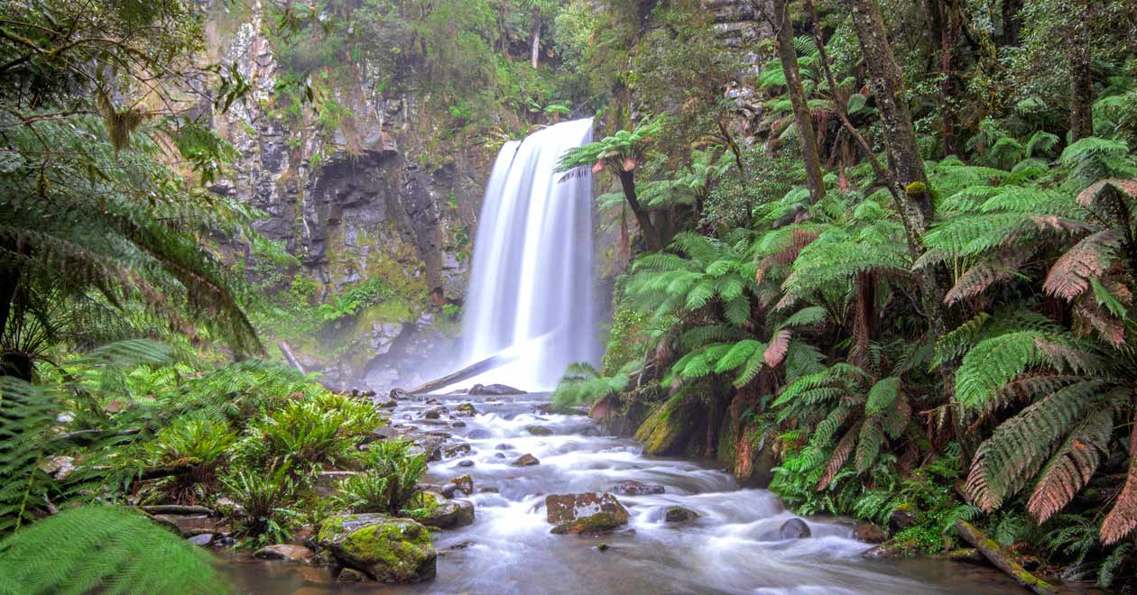 Environment Victoria | $220 million in funding to improve river health
