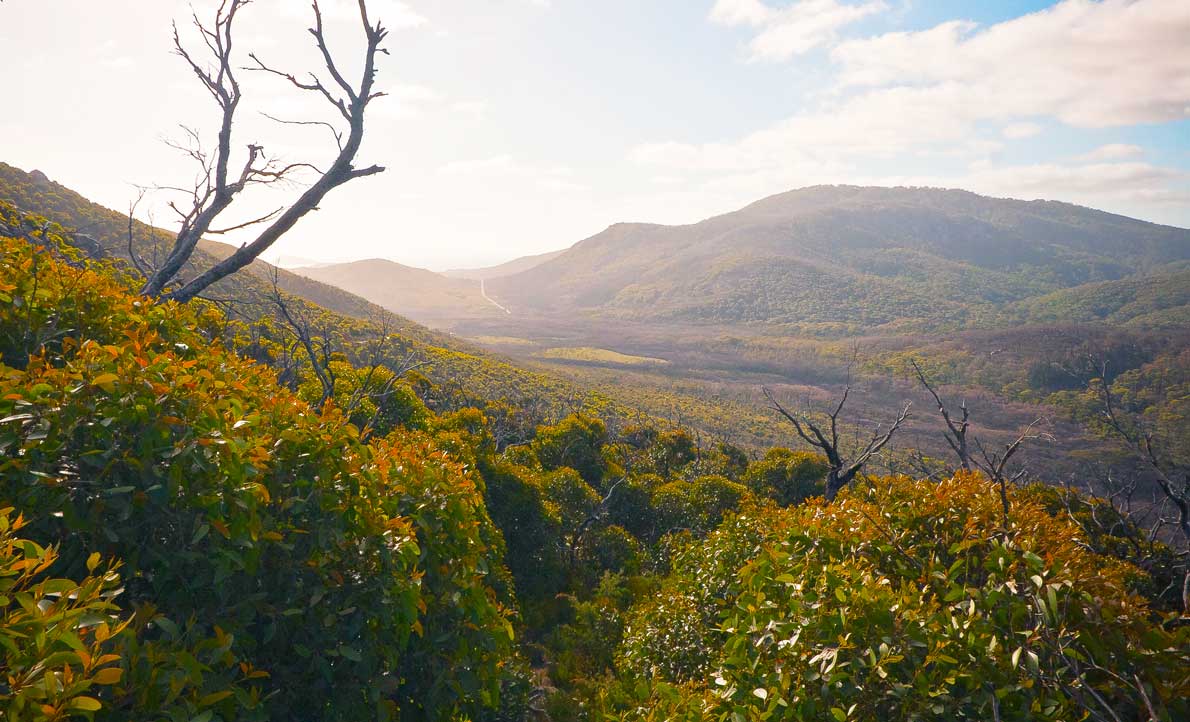 Released world-first research showing the economic benefits of ...