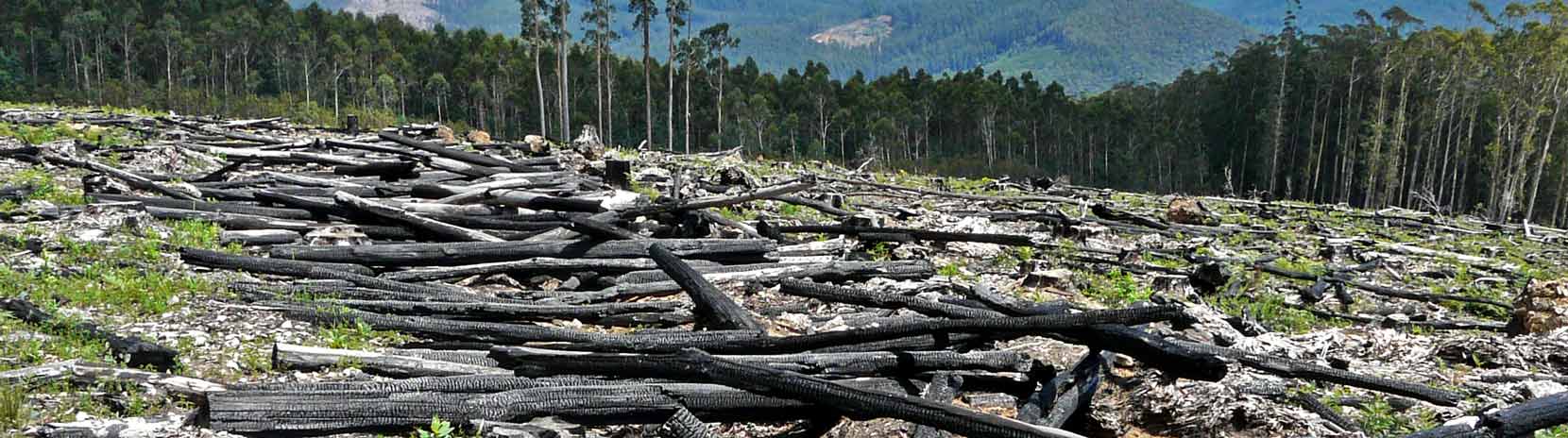 Environment Victoria | Land use