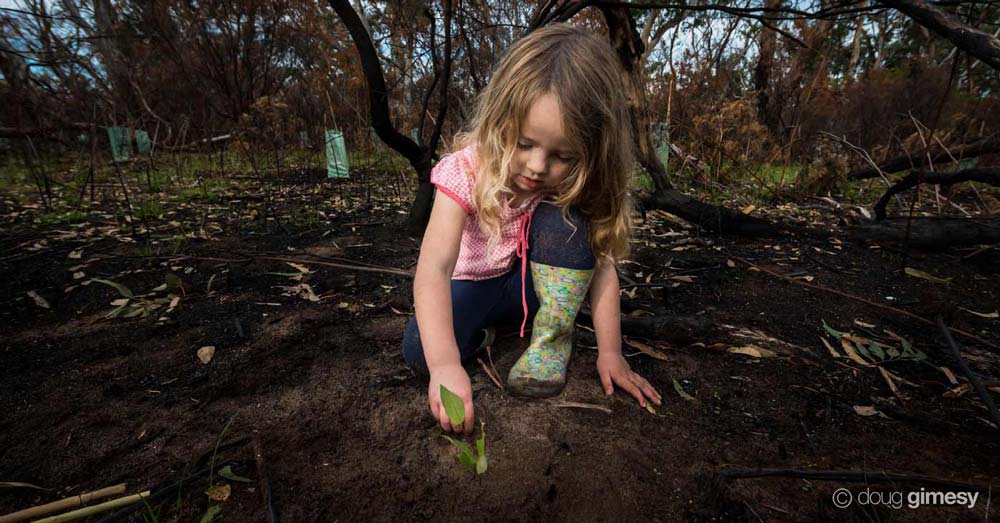 Coping with climate distress - Environment Victoria