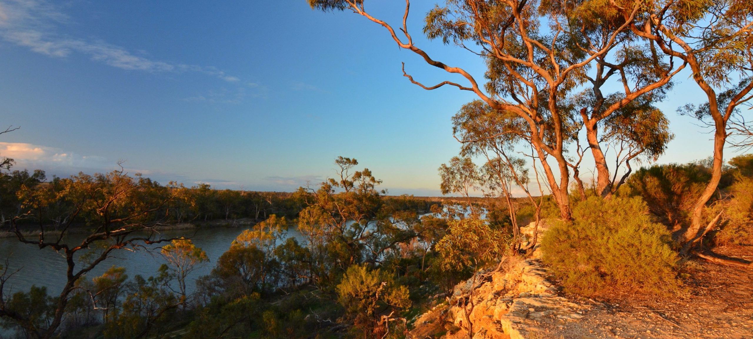 A healthy Murray-Darling Basin - Environment Victoria