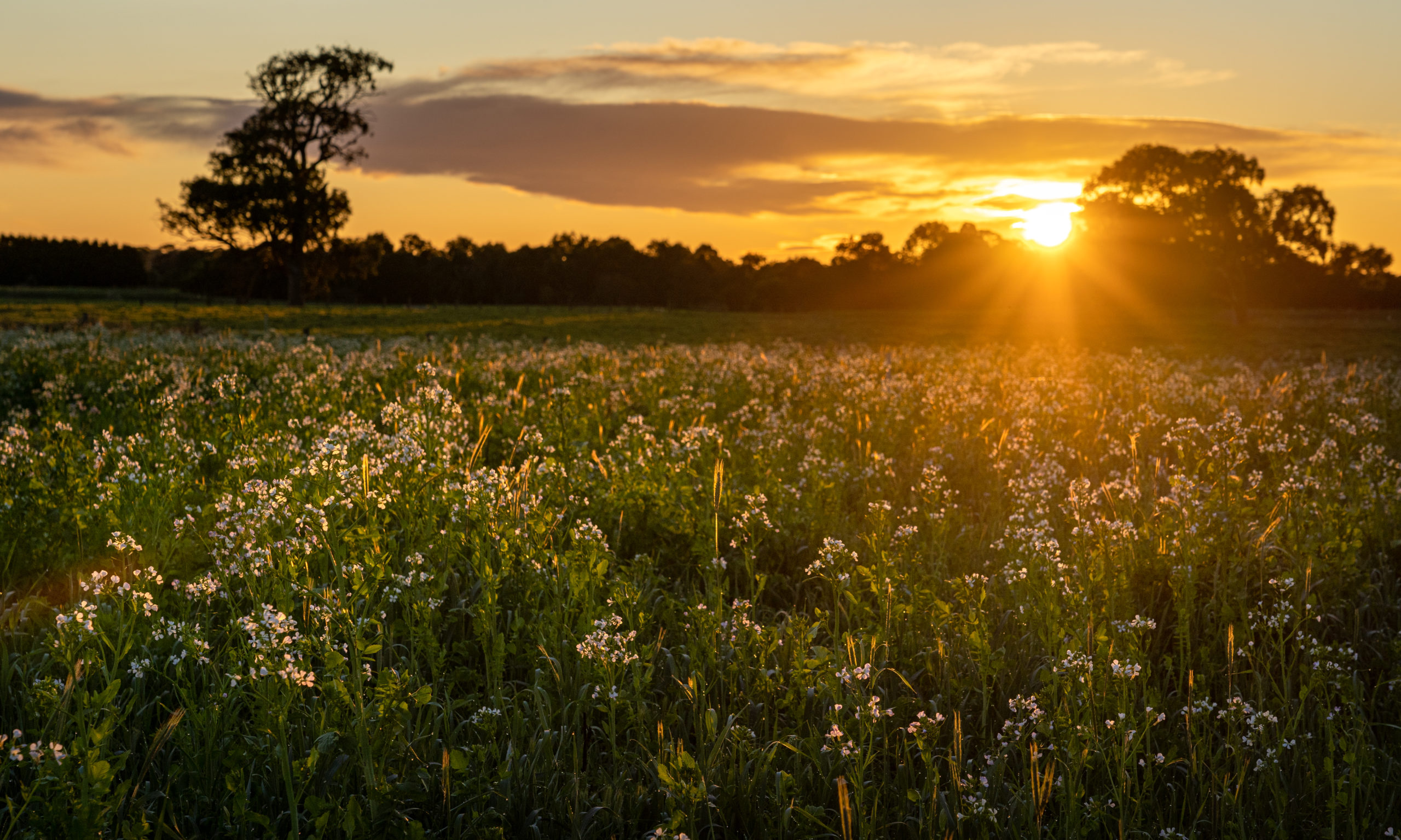 Get involved - Environment Victoria