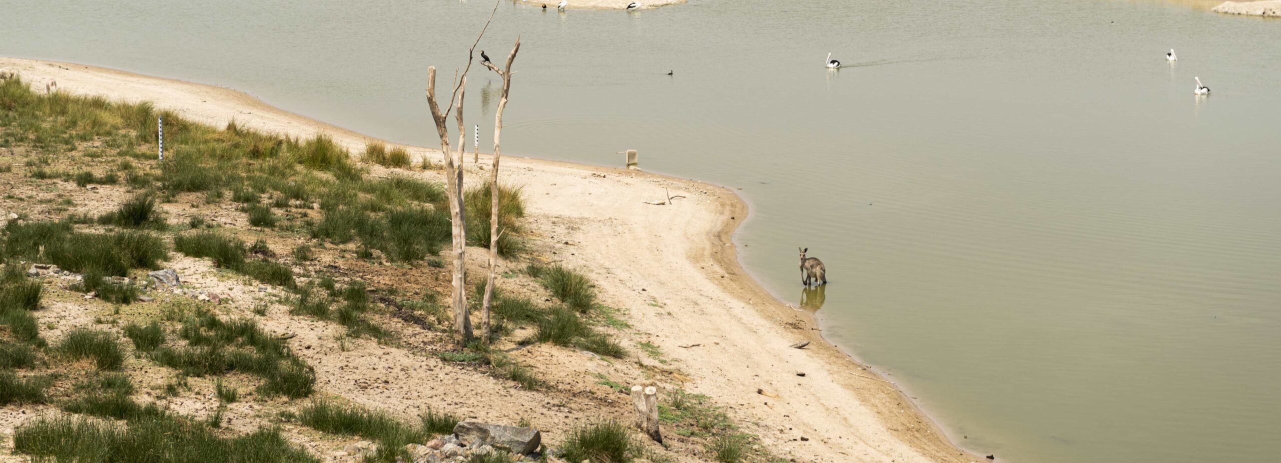 Water Bill must go further to deliver for the Darling - Environment ...