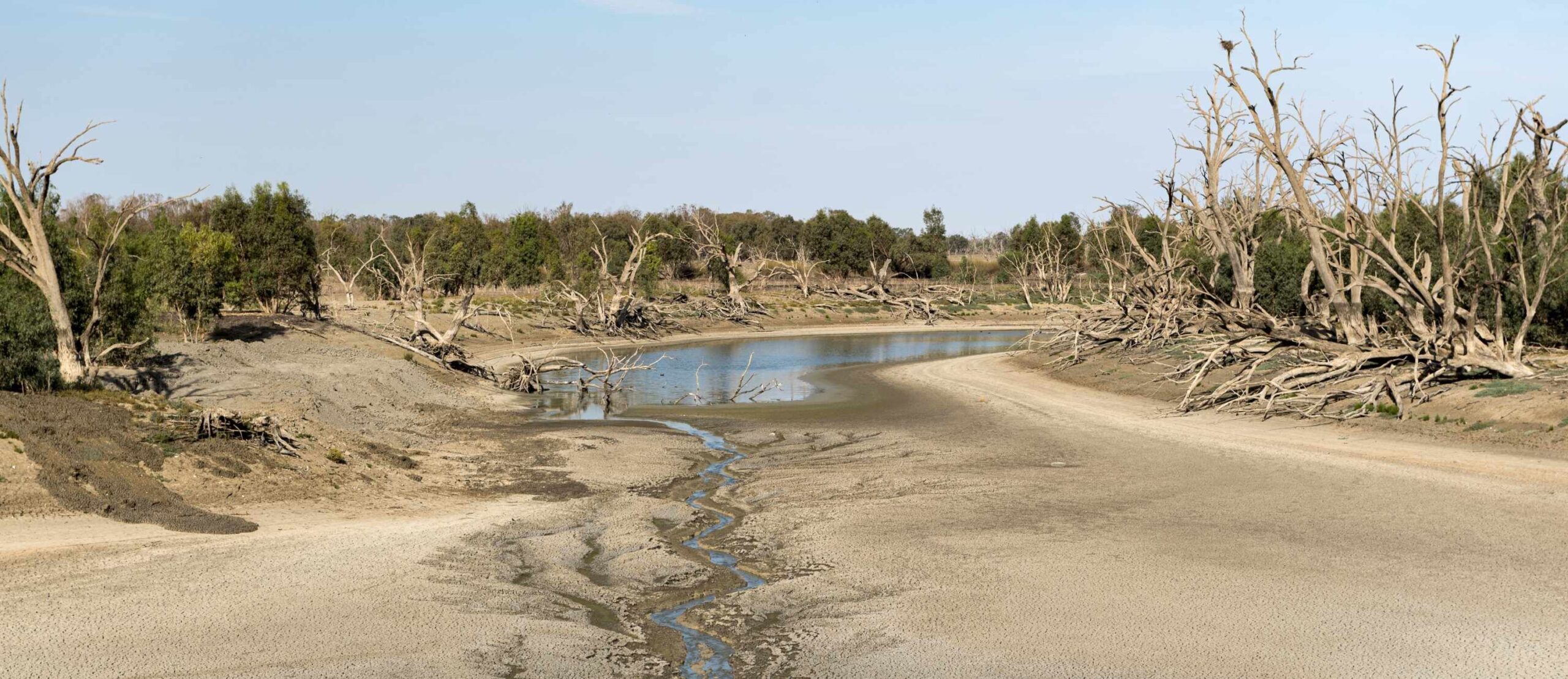 How the Vic government sabotaged the Basin Plan: a timeline ...