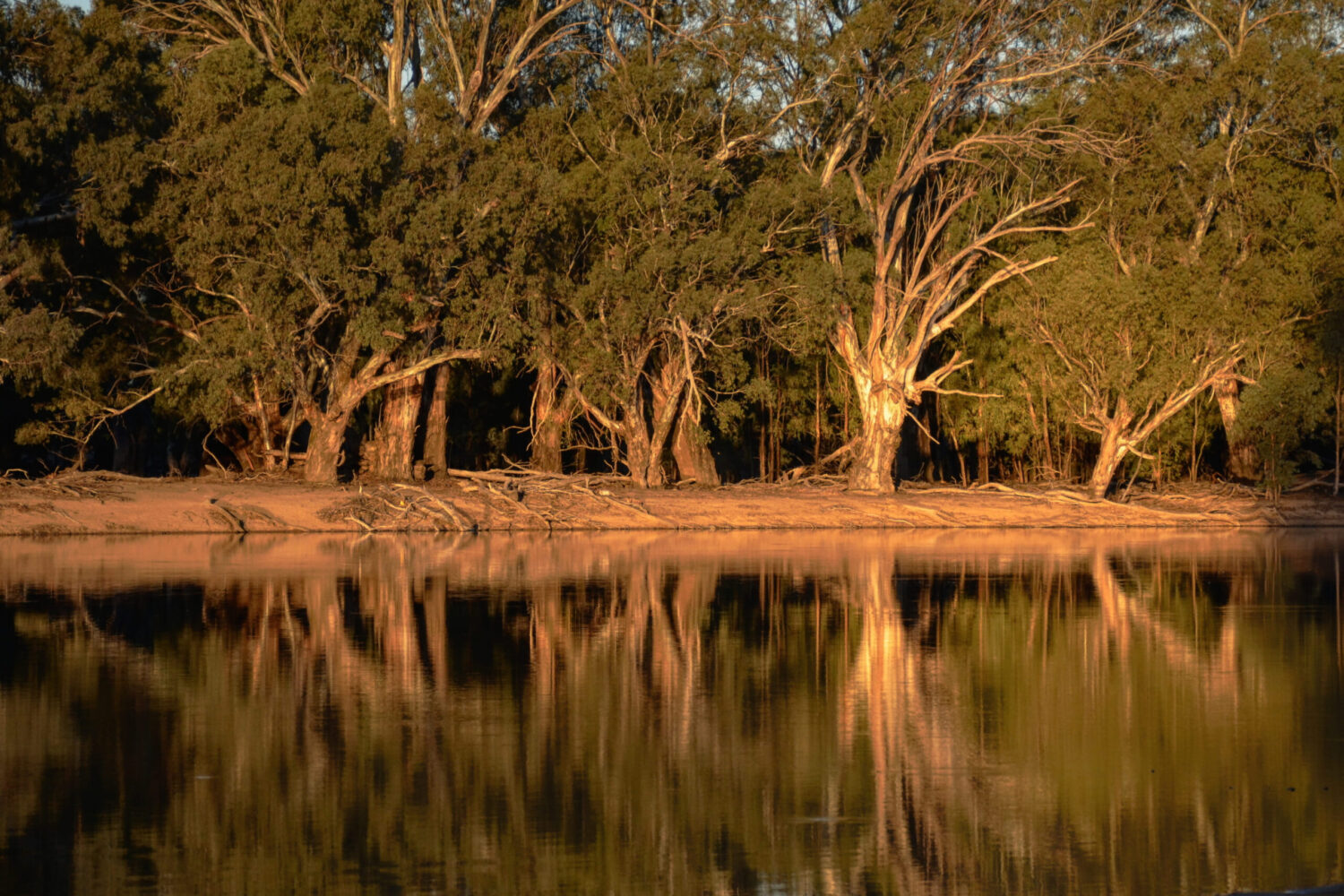 MDBA climate outlook report confirms climate change as a defining issue ...