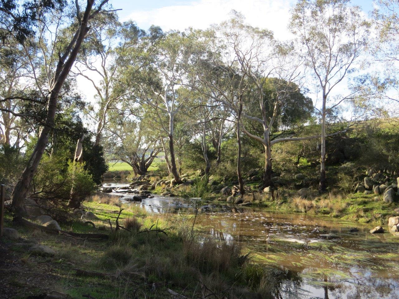 United over 2,000 individuals and local groups to protect southern ...